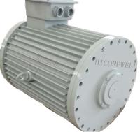 China Carbon Steel Shaft Permanent Magnet Magnet Motor Generator 10kw200 Rpm400V for sale