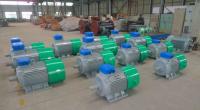 China Carbon Steel Shaft Permanent Magnet Magnet Motor Generator 10kw200 Rpm400V for sale