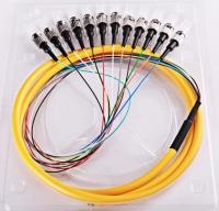 China Orange Fiber Optic Pigtail FC 12 Cores Simplex 9/125 SM 3.0 mm 1.5 M  LSZH Jacket for sale