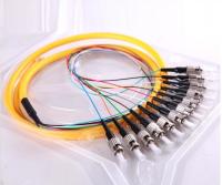 China Orange Fiber Optic Pigtail FC 12 Cores Simplex 9/125 SM 3.0 mm 1.5 M  LSZH Jacket for sale