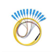 China Fiber Optic Breakout Cable Pigtail 12 Color 0.9mm 2.0M 3.0MM Length 1m 2M 5M FC SC UPC SM 12 Core for sale
