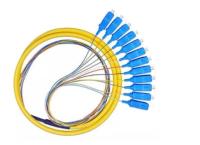 China Fiber Optic Breakout Cable Pigtail 12 Color 0.9mm 2.0M 3.0MM Length 1m 2M 5M FC SC UPC SM 12 Core for sale