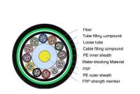 China Non - Metallic Strength Member Armored Fiber Optic Cable GYFTY53 2000M Per Reel for sale