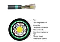 China Non - Metallic Strength Member Armored Fiber Optic Cable GYFTY53 2000M Per Reel for sale