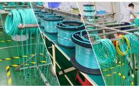 China OM3/OM4 MPO Connector Patch Cord 12 Fiber MPO Trunk Cable 8/12/24F MTP MPO Cable for sale