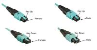 China OM3/OM4 MPO Connector Patch Cord 12 Fiber MPO Trunk Cable 8/12/24F MTP MPO Cable for sale