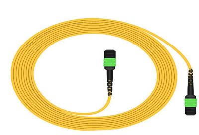 China Fiber Optic MPO Cable Female Connector Jumper 2m (6ft) OS2 9/125 24 Core Single Mode for sale