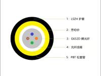 China 2 Core 4.5MM Single Mode Fiber Patch Cables for Outdoor Communication for sale