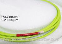 China FSI-600-05 Repair High Power Fiber Laser FSI-400-05 FSI-600-05 Repair High Power Fiber for sale