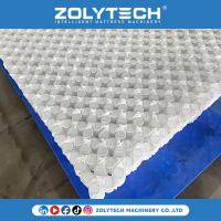 China Independent Pocket Spring Mattress Best Glue-Free Mattress For Back Support ZOLYTECH for sale