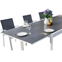 China Outdoor Dinning Furniture Aluminium 9pcs Aluminium Garden Set for sale