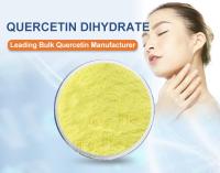 China 99% Pure Quercetin Dihydrate Powder Natural Sophora Japonica Extract CAS 6151-25-3 for sale