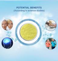China 99% Purity Quercetin Bulk Supplements From Sophora Japonica Extract For Natural Ingredients for sale