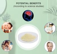 China High Purity Apigenin Supplement 99% Plant Extract Powder CAS 520-36-5 for sale