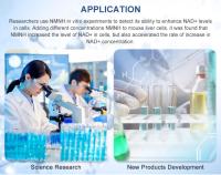 China NMNH Purity up to 95% Nad Booster Nicotinamide Mononucleotide Reduced Powder for Health Supplements for sale
