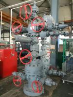 China Wellhead Christmas Tree Equipment 2000-20000 PSI 2 9/16-7 1/16 Inch API 6A Casing Tubing Head Gate Valves for sale