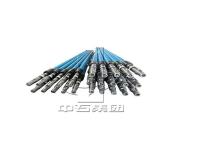 China Carbon Steel AISI1045 Insert Pump 20-250 for Oil and Gas Production for sale
