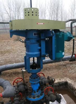 China Progressing Cavity Pump PCP 1000 RPM High Torque Screw Pump for Oil Production for sale