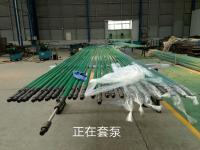 China Coalbed Gas API Standard Plunger 8ft Sucker Rod Pump 30-250 RWBM Series for sale