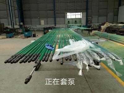 China Coalbed Gas API Standard Plunger 8ft Sucker Rod Pump 30-250 RWBM Series for sale