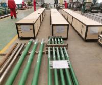 China Diameter 44mm Oil Well Downhole Rod Pump 25-175 RHAM-12-2-2 for Deep Wells for sale