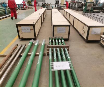 China Diameter 44mm Oil Well Downhole Rod Pump 25-175 RHAM-12-2-2 for Deep Wells for sale