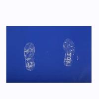China Disposable Peel Off Cleanroom Blue PE Film Sticky Mat 30 Layers OEM Size for sale