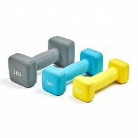 China Custom Colorful Vinyl Coated Cast Iron Dumbbell Square Shaped for sale