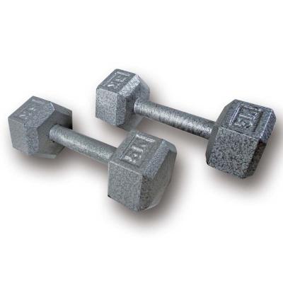 China Hammertone Fixed Urethane Dumbbells 50kgs Metal Round Dumbbell Set Cast Iron for sale