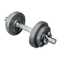 China Stoving Varnish Coated Cast Iron Dumbbell Set 10kgs Round Grey Rubber Gym Dumbbells for sale
