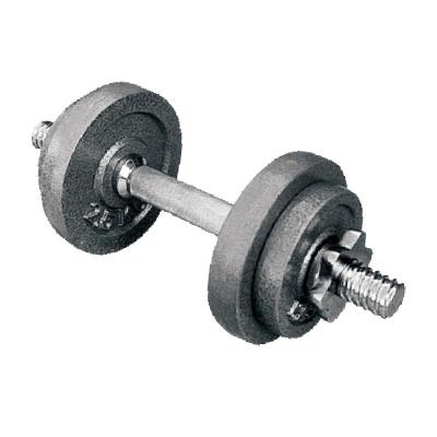 China Stoving Varnish Coated Cast Iron Dumbbell Set 10kgs Round Grey Rubber Gym Dumbbells for sale