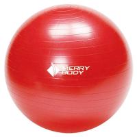 China Eco Friendly PVC Anti Burst Gym Ball 65cm for Yoga Pilates Exercise Balance Training for sale