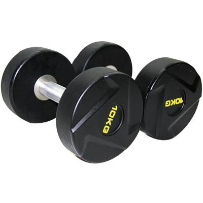 China Commercial PU Rubber Dumbbell Set 20kg 10kg Eco Friendly for sale