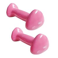 China Neoprene Coated Cast Iron Dumbbells 0.5kg to 10kg Colorful Anti Slip Gym Equipment for sale