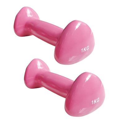 China Neoprene Coated Cast Iron Dumbbells 0.5kg to 10kg Colorful Anti Slip Gym Equipment for sale