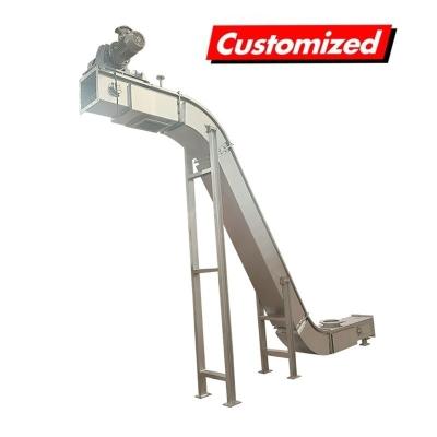 China Custom Stainless Steel Chain Scraper Conveyor 220V with 5+ Year Lifespan for Material Handling for sale