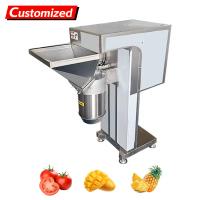 China Industrial Automatic Commercial Juicer 1.5kw 800x400x1080mm Fruit Vegetable Pulp Extractor for Citrus Lemon Grapefruit for sale