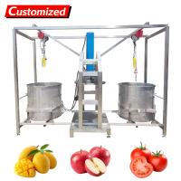 China Custom Industrial Fruit Vegetable Juicer 304 Stainless Steel Cold Press Juice Extractor Commercial for sale