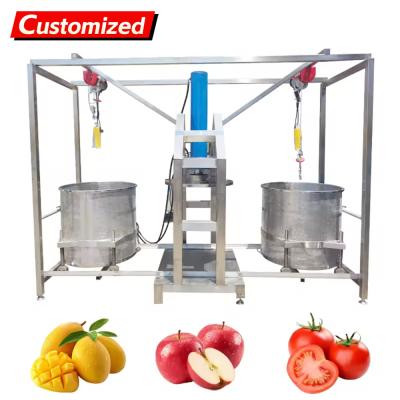China Custom Industrial Fruit Vegetable Juicer 304 Stainless Steel Cold Press Juice Extractor Commercial for sale