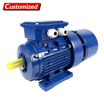 China Adjustable Speed Gear Reducer Motor 0.55-315kW IE3 IE2 Industrial Grade 1200-2000 RPM for sale