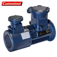 China Flameproof 5.5-11kW 750rpm Three-Phase Asynchronous Motor VFD IP55 IE3 for sale