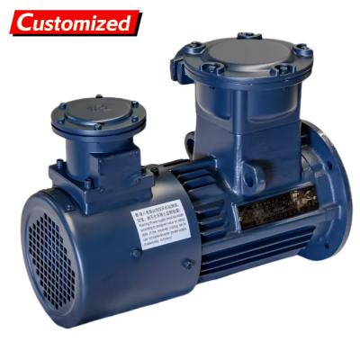 China Flameproof 5.5-11kW 750rpm Three-Phase Asynchronous Motor VFD IP55 IE3 for sale