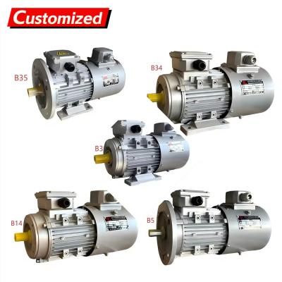 China Three-Phase AC Variable Frequency Drive Motor 380V 0.18KW 1400 RPM IE3 IP54 Soft Start Stepless Speed for sale