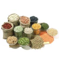 China Industrial Microwave Grain Dryer 30000W Continuous Drying and Sterilization Machine 13120mm for sale
