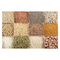 China Industrial Microwave Grain Dryer 30000W Continuous Drying and Sterilization Machine 13120mm for sale