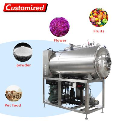 China Custom 2m² Stainless Steel Vacuum Freeze Dryer 380V 50Hz for Fruits and Flower Petals for sale