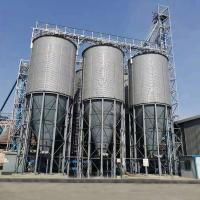 China Customizable Galvanized Steel Feed Tower with 3-50 Ton Capacity for Automated Livestock Farming for sale