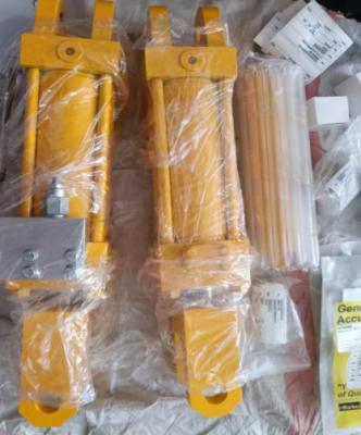 China Tesco Actuator Assy Counter Balance TDS Top Drive Parts 110703 for sale