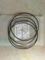 China RG RIG EMI 400 Top Drive TESCO RING SNAP WASHPIPE EMI-400 5007196 MFg for sale