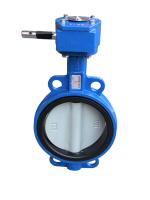 China Ductile Iron Soft Seal Elastic Valve Seat Centerline Wafer Butterfly Valve Stainless Steel Valve Plate for sale